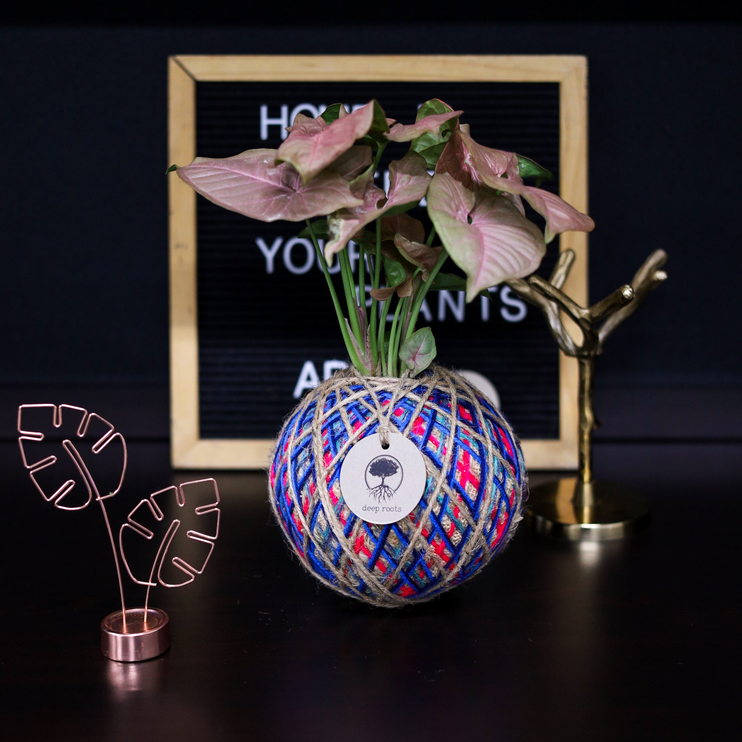 Shop All | Deep Roots, Inc.